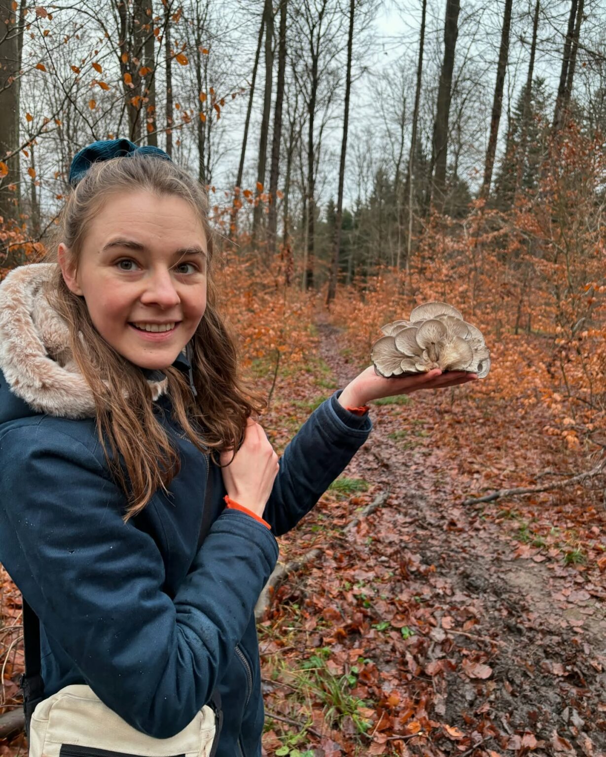 Book Det vilde bud på tlf: 70 27 03 07 | Showbizz Danmark